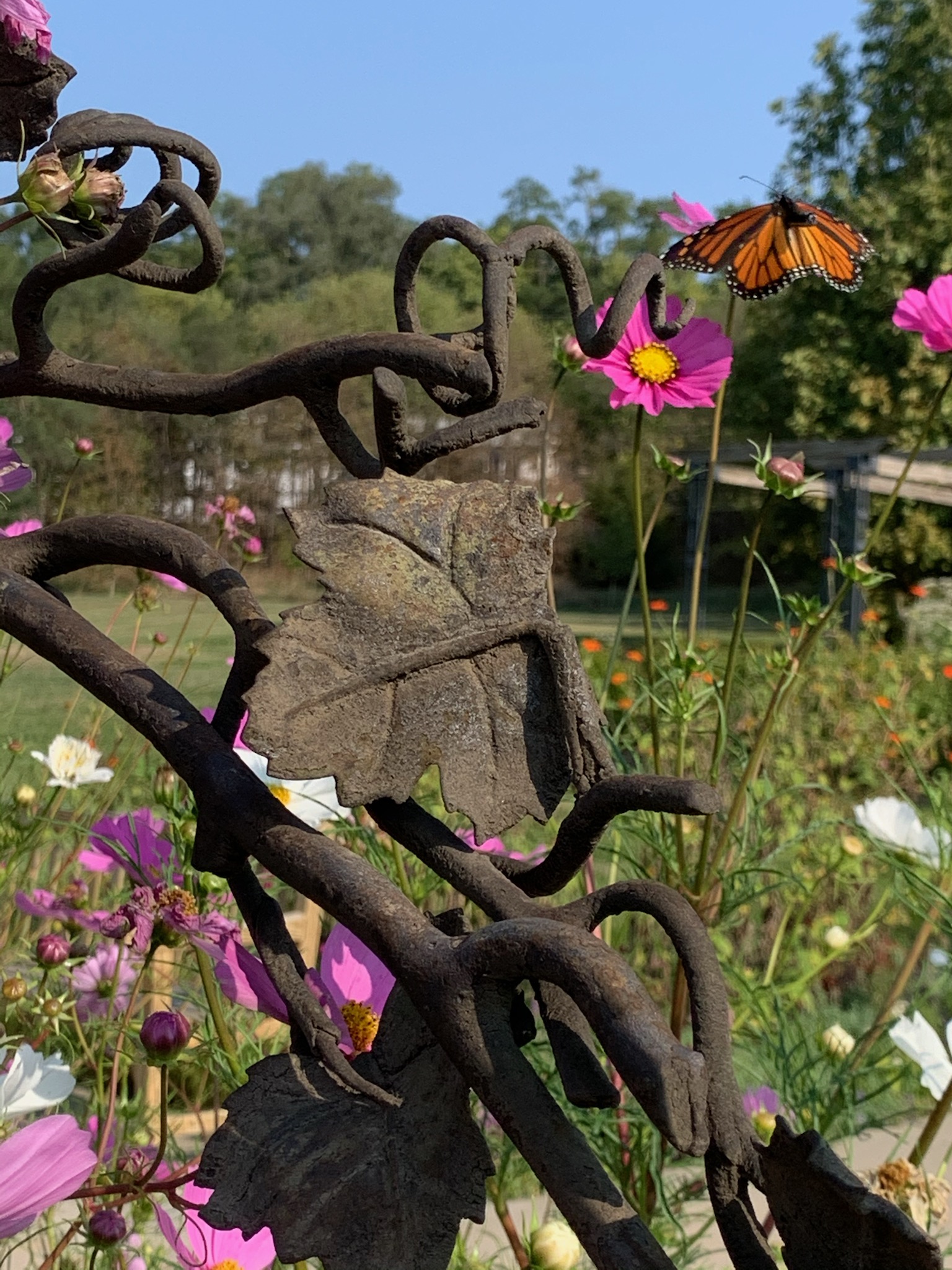 Photography Committee Butterfly Hunt Outing – LOVELAND GARDEN CLUB